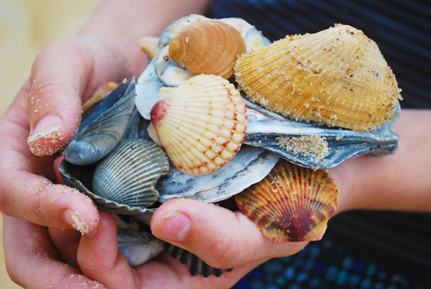 Beautiful Beach Vacation In The OBX! - The Cooking Mom